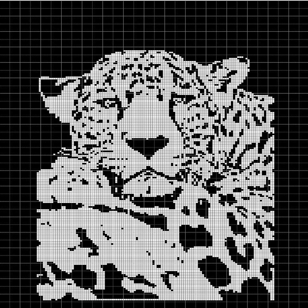 Jaguar Crochet Afghan Pattern Graph - Etsy