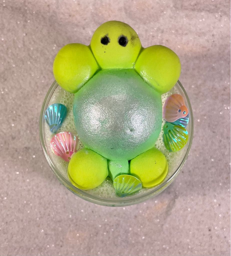 Turtle Cove DIY Slime 6oz - Etsy