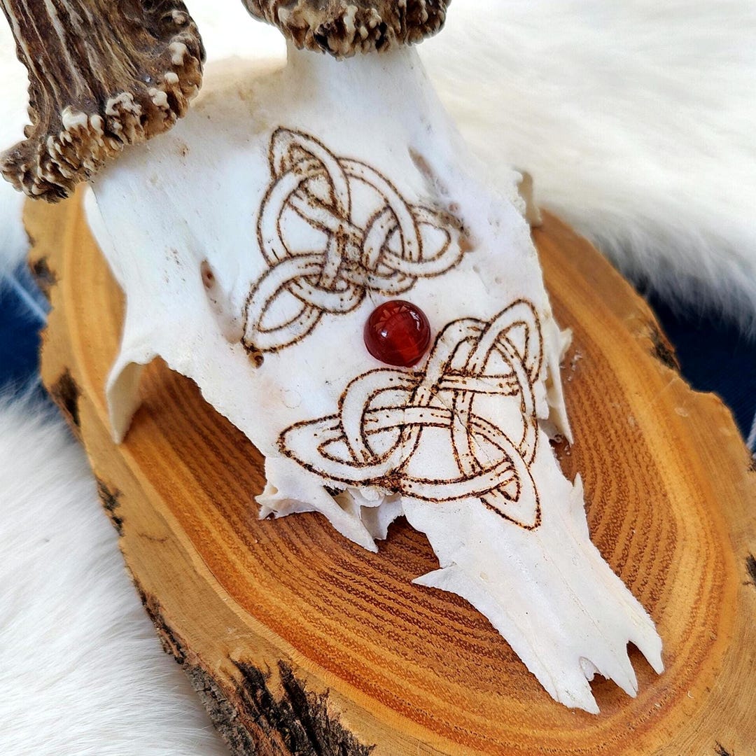 Roebuck Skull celtic Knot Carnelian - Etsy