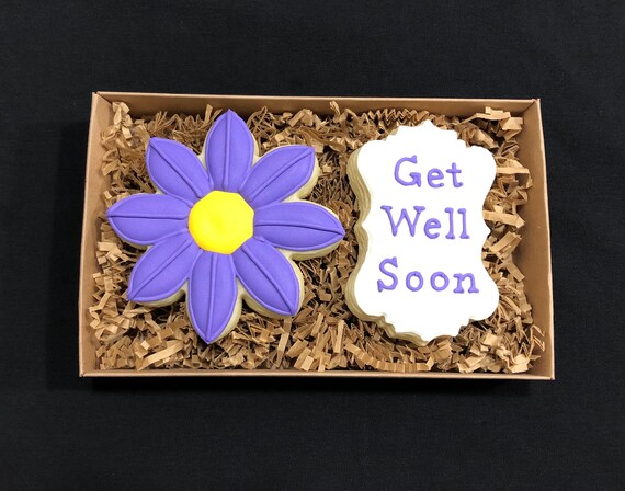 Get Well Soon Cookie Gift Set 2 Cookies Please read ALL | Etsy