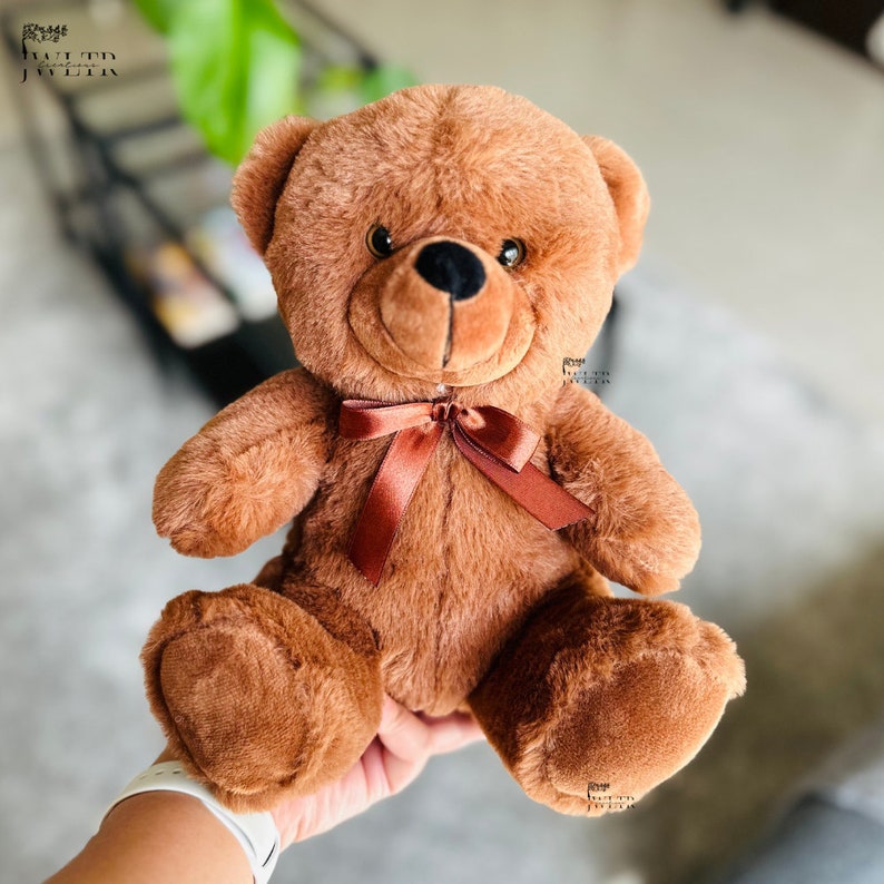 Personalized Teddy Bear for Daughter, Teddy Bear With Personalized Canvas, Plush Teddy, Gift for ...