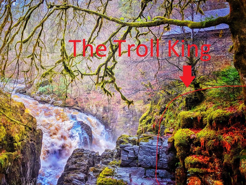 The Troll King Digital Download Print Hidden Face in Moss Surreal ...