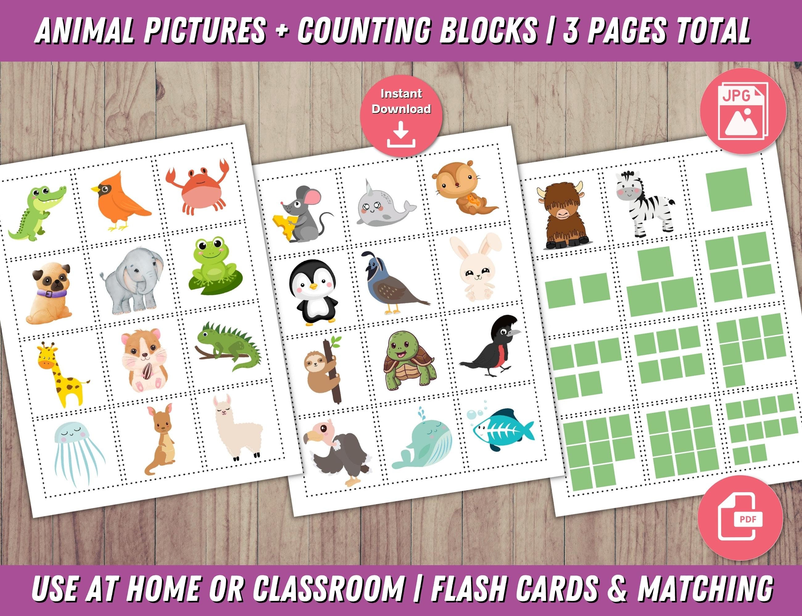 Printable ABC Numbers Flashcards Memory Game, Learning Resources ...