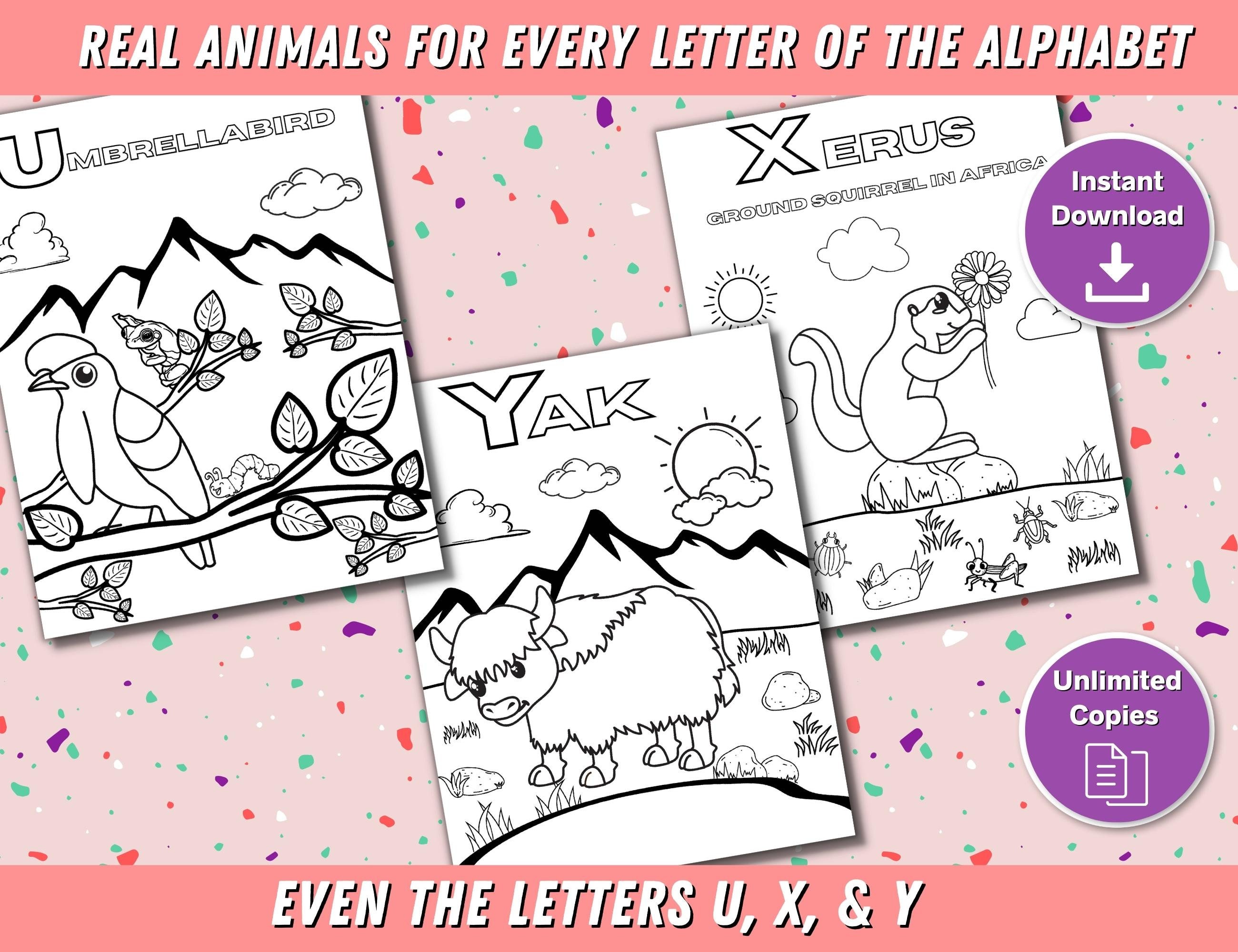Printable Kids Coloring Pages ABC Coloring Animal Alphabet - Etsy