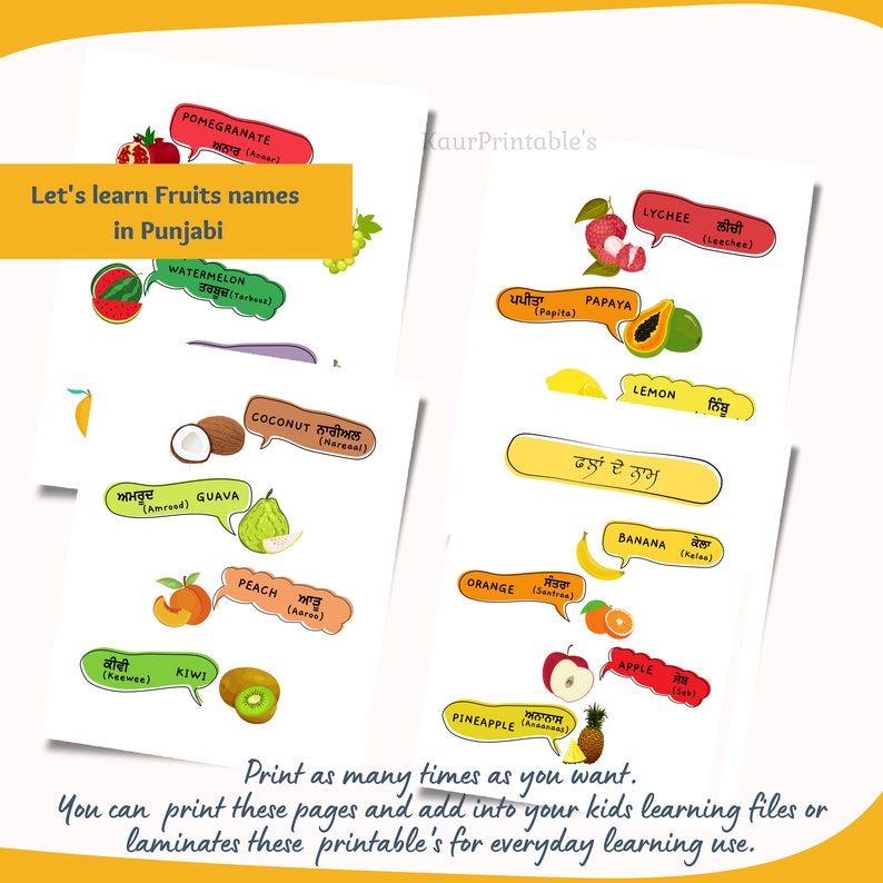 Fruits Names in Punjabi and English। Bilingual Fruits Names Learning ...