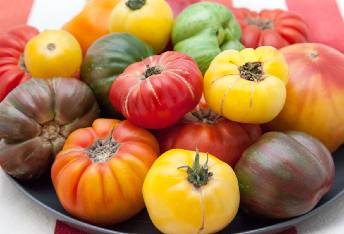 Plants The Notable Rainbow Heirloom Tomato Collection Outdoor ...