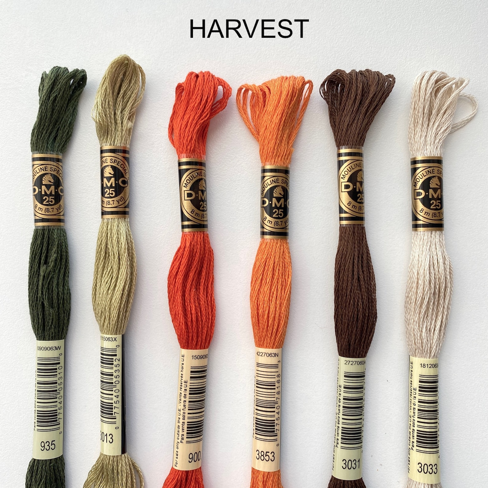 DMC Six Strand Embroidery Floss 6 Skeins Trendy Color - Etsy