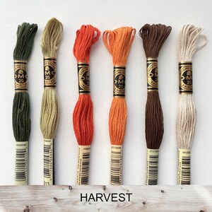 DMC Six Strand Embroidery Floss, 6 Skeins, Trendy Color Palette Pack - Etsy