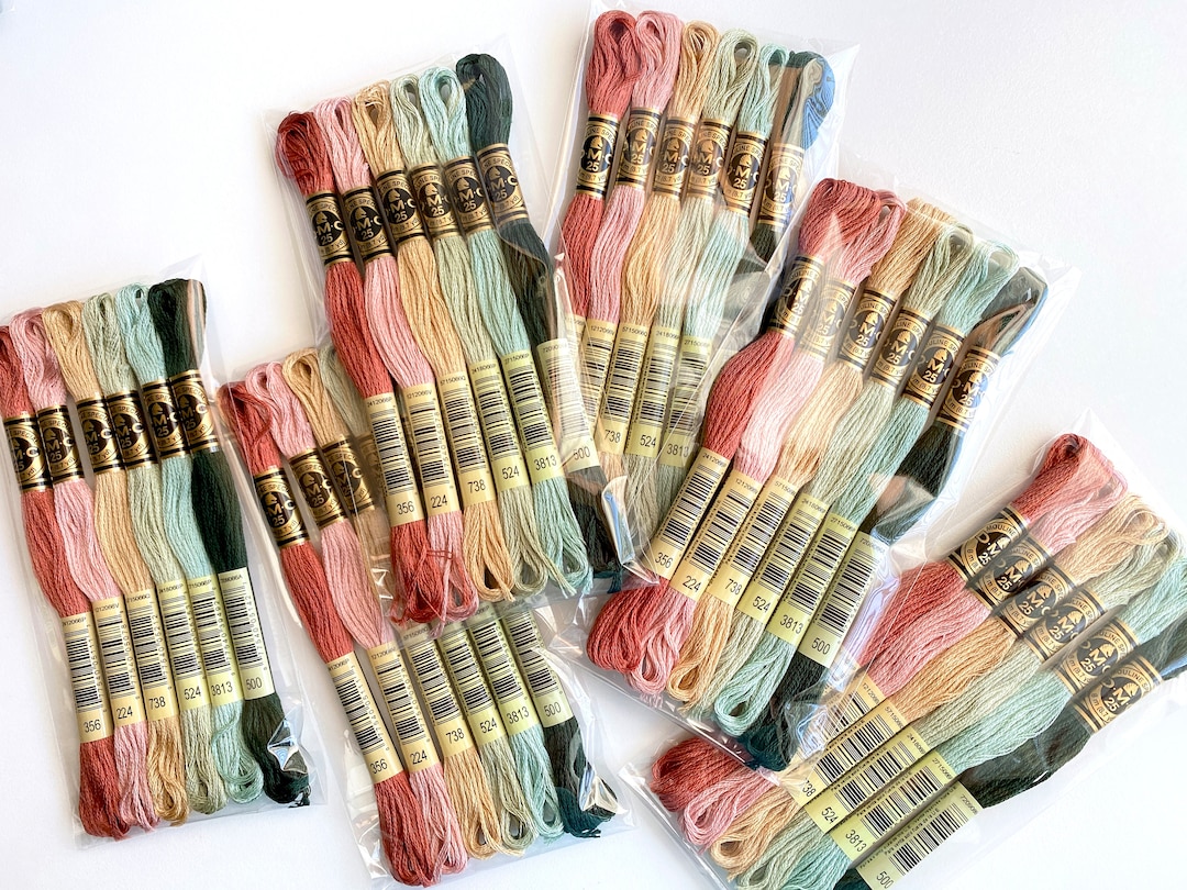 DMC Six Strand Embroidery Floss, 6 Skeins Color Pack, Trendy Embroidery ...