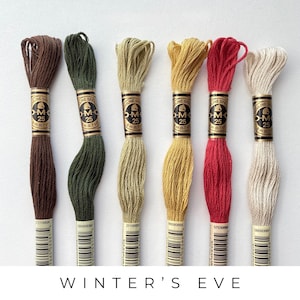 DMC Six Strand Embroidery Floss, 6 Skeins Color Pack, Trendy Embroidery ...