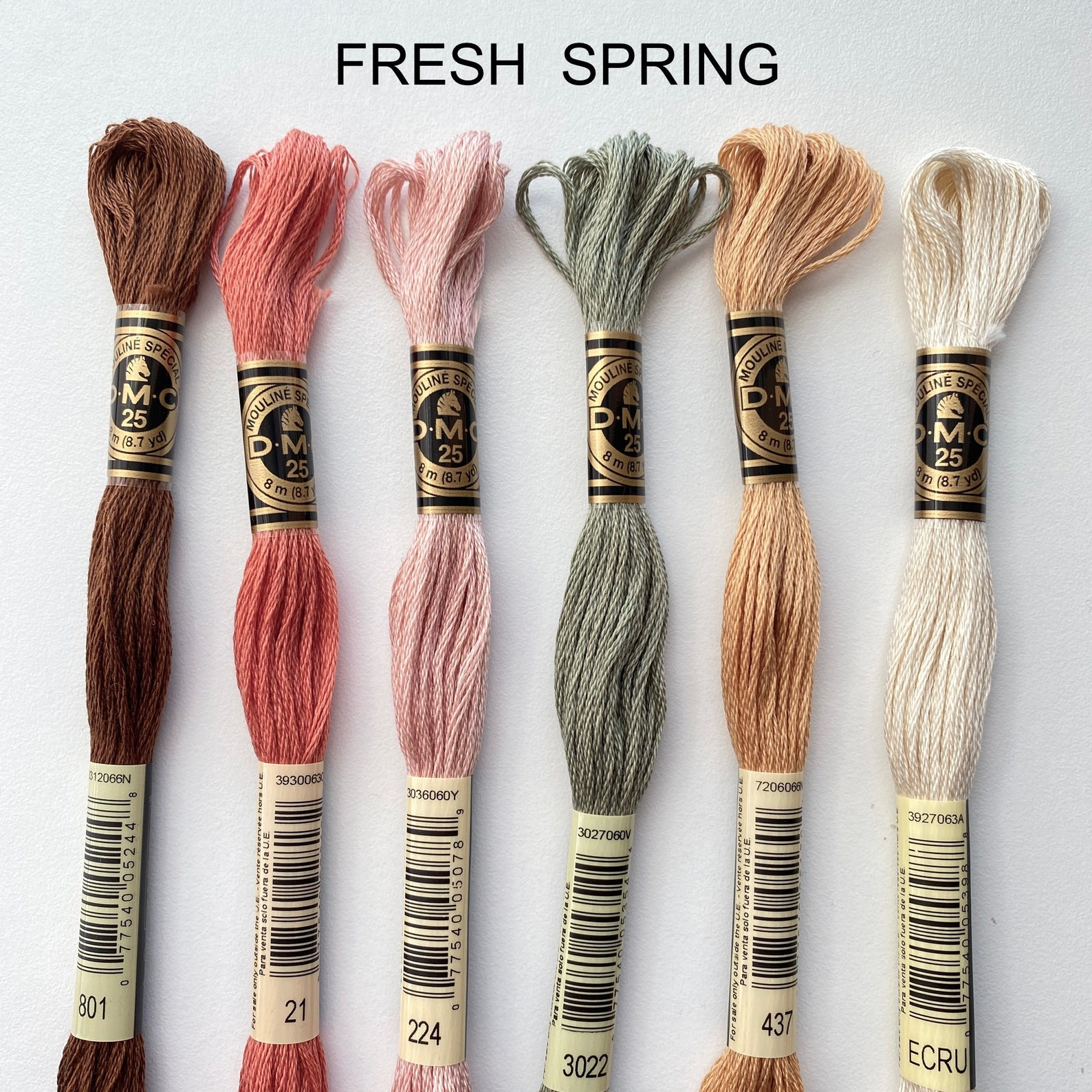 DMC Six Strand Embroidery Floss 6 Skeins Trendy Color - Etsy