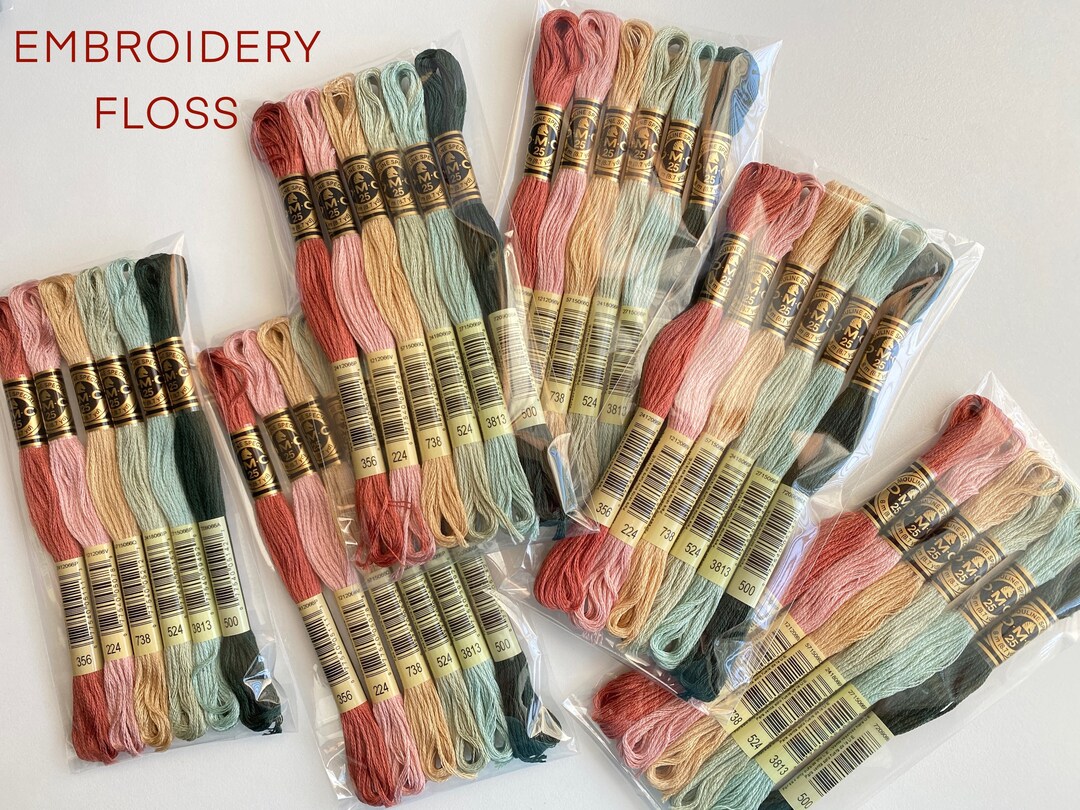 DMC Six Strand Embroidery Floss, 6 Skeins, Trendy Color Palette Pack - Etsy