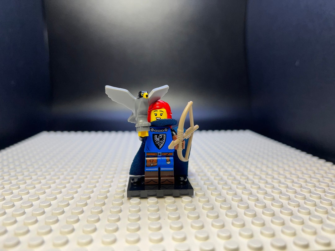 Falconer LEGO® Collectable Minifigure Series 24 71037. - Etsy