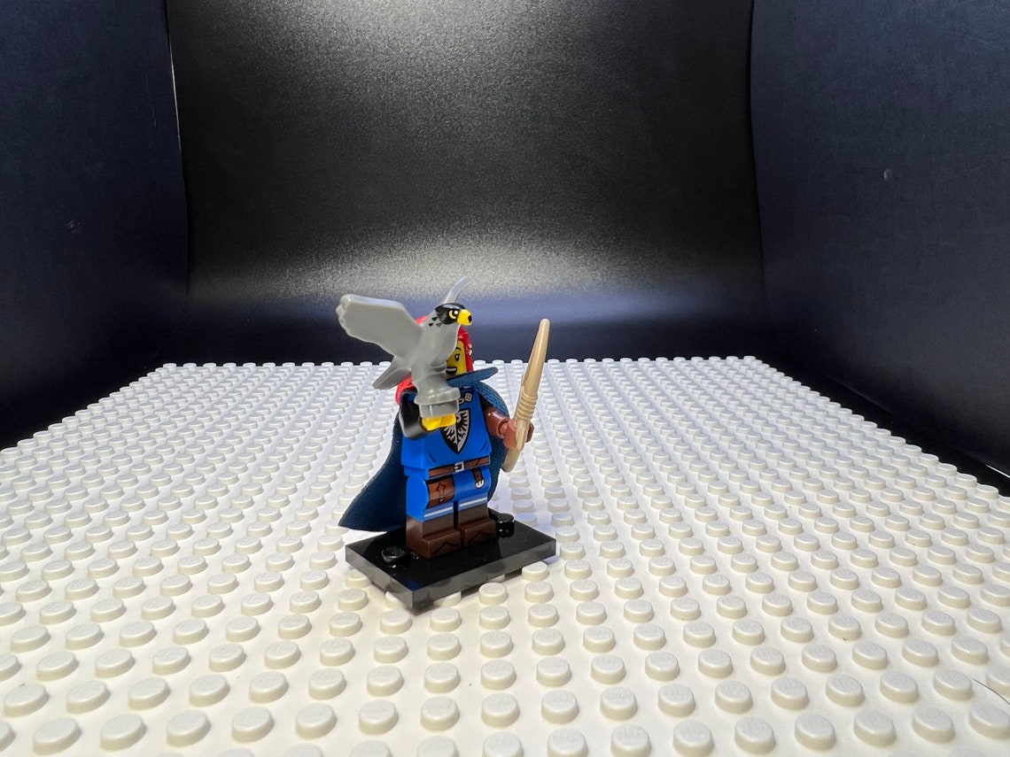 Falconer LEGO® Collectable Minifigure Series 24 71037. - Etsy