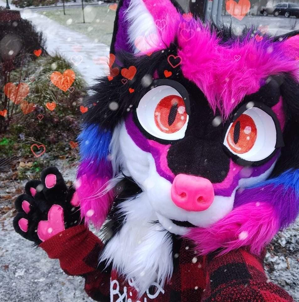 Custom Full Fursuit Commission - Etsy