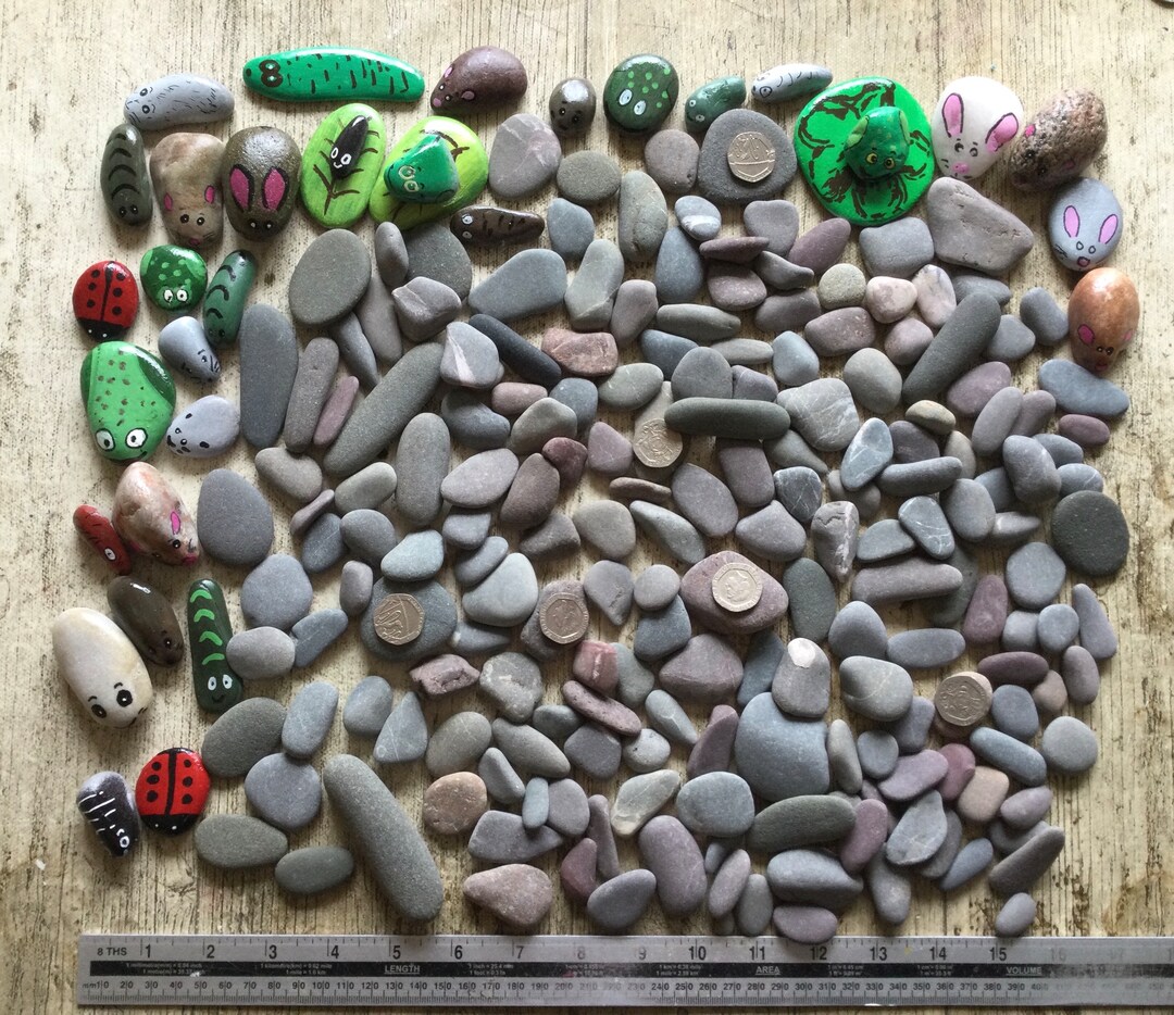 Huge Lot Bug Shape Pebbles Smooth for Painting Bugs ,arts and Crafts ...