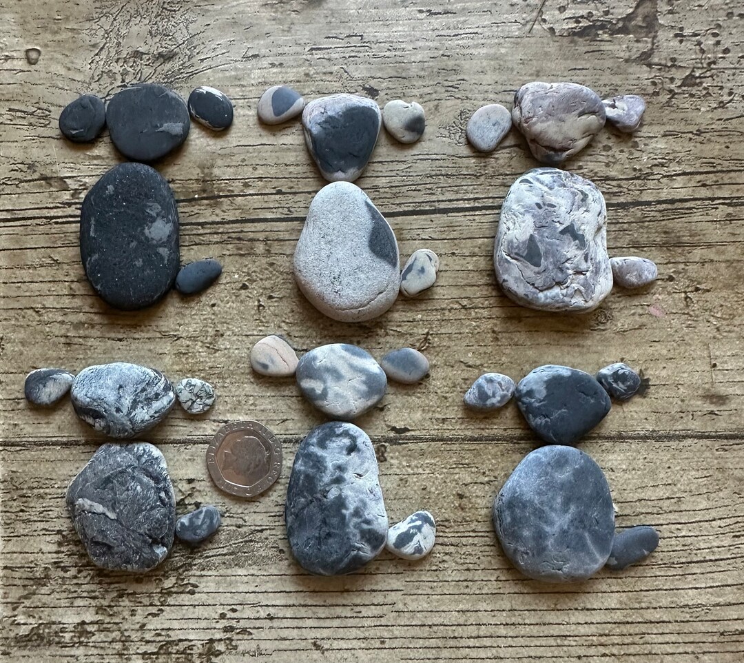 Pebble People 6 Coloured Dogs Pebblessmoothish and Flatish - Etsy