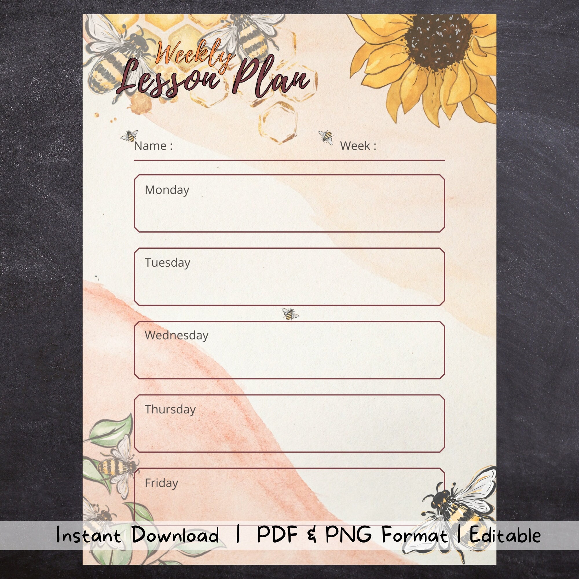 Honeybee Printable Weekly Lesson Plan Template Colorful - Etsy