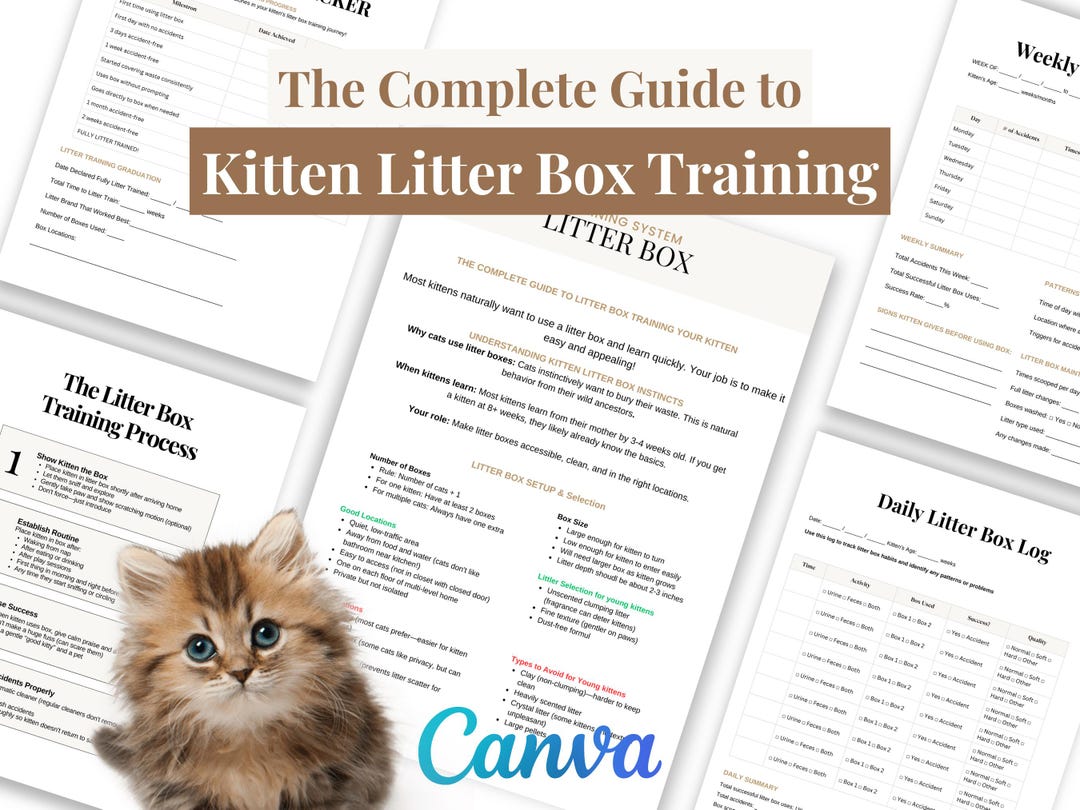 Kitten Litter Box Training Template Cat Tracker Canva Printable 8.5x11 ...