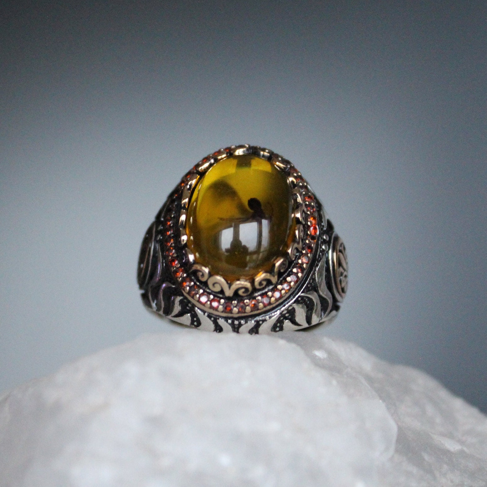 Ant Amber Men Ring Ant Fossil Amber Stone Silver Ring - Etsy