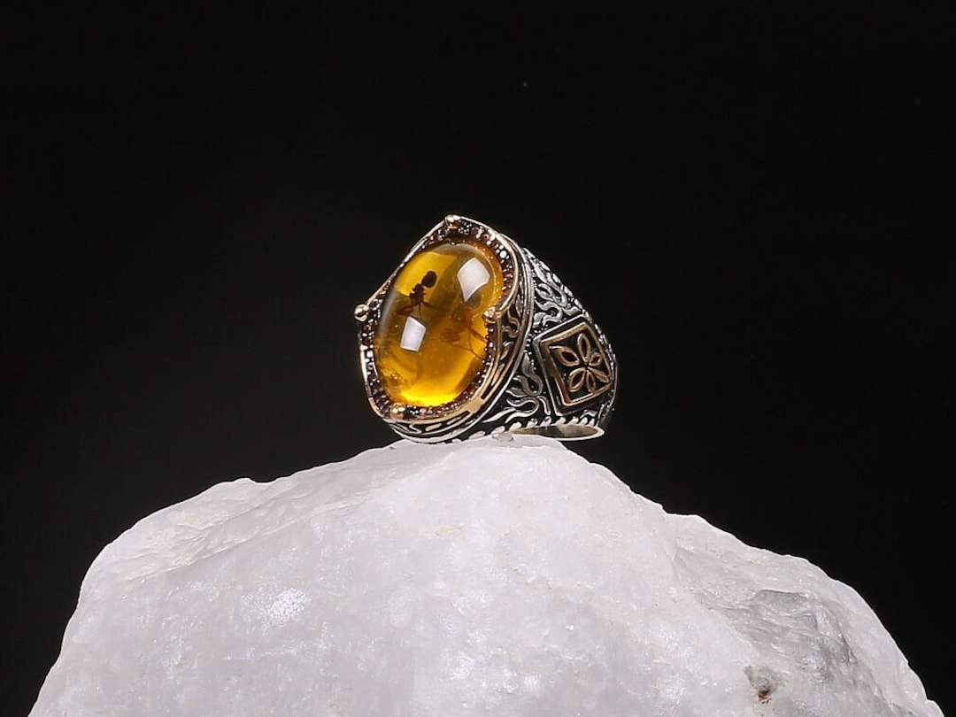 Ant Fossil Amber Stone, Silver Ring, Fossil Insect Ring, Unique Gift ...