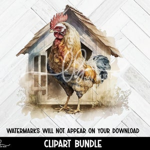 Chicken Watercolor Clipart Bundle, Rooster Clipart, Farm Animals ...