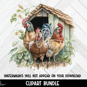 Chicken Watercolor Clipart Bundle, Rooster Clipart, Farm Animals ...