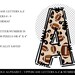 Leopard Football Alphabet PNG Set,hand Drawn Doodle Letters for ...