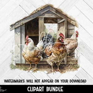 Chicken Watercolor Clipart Bundle, Rooster Clipart, Farm Animals ...