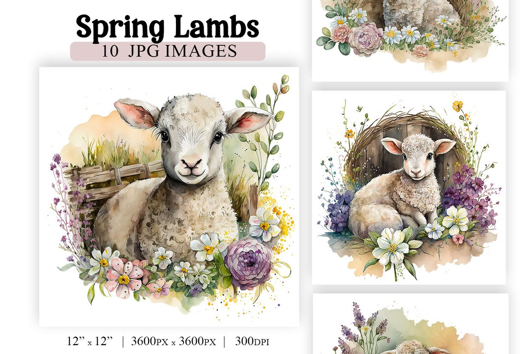 Watercolor Lamb Clipart: Spring Floral JPG Bundle (commercial Use) - Etsy