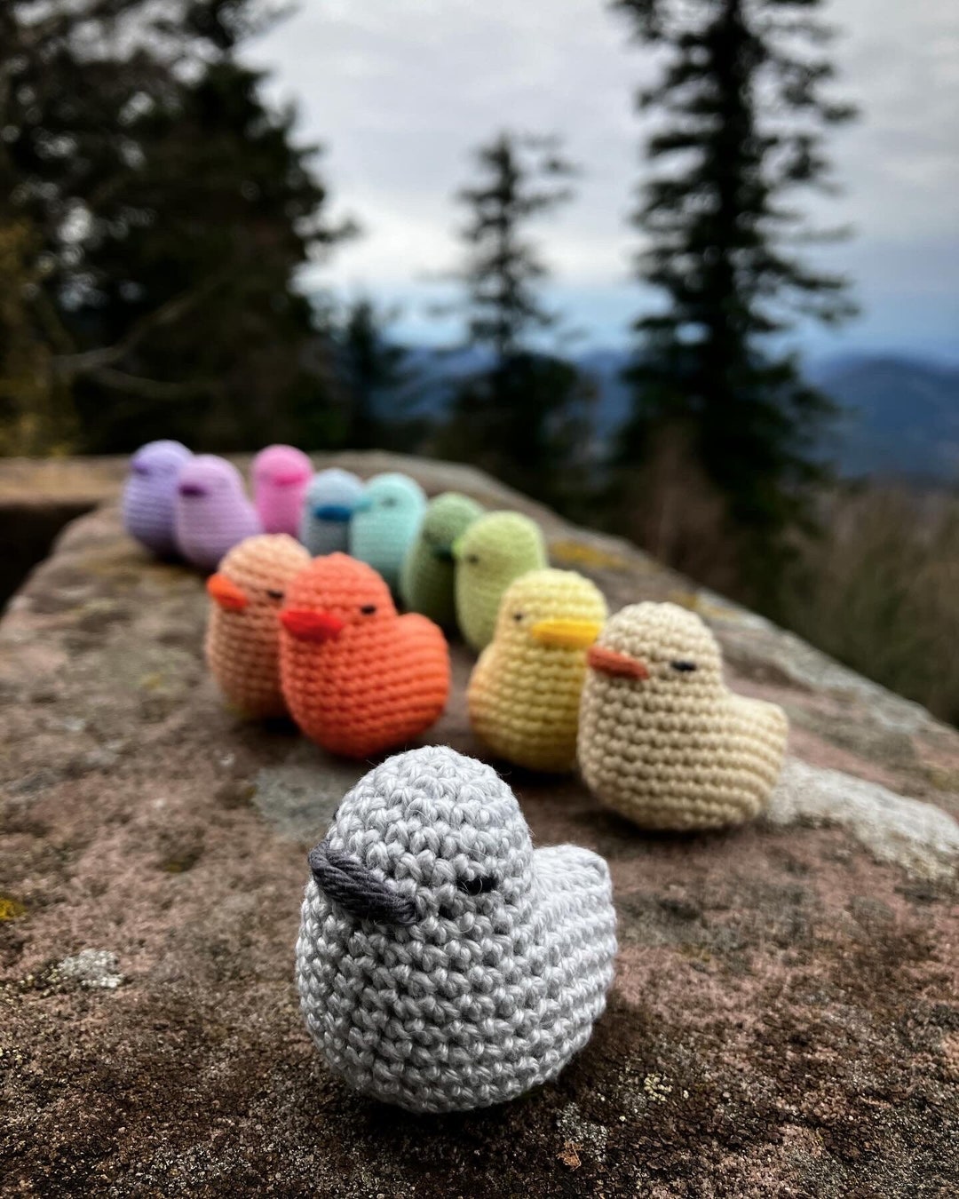 Mini Birb Small Bird Bird also Available as a Keychain - Etsy