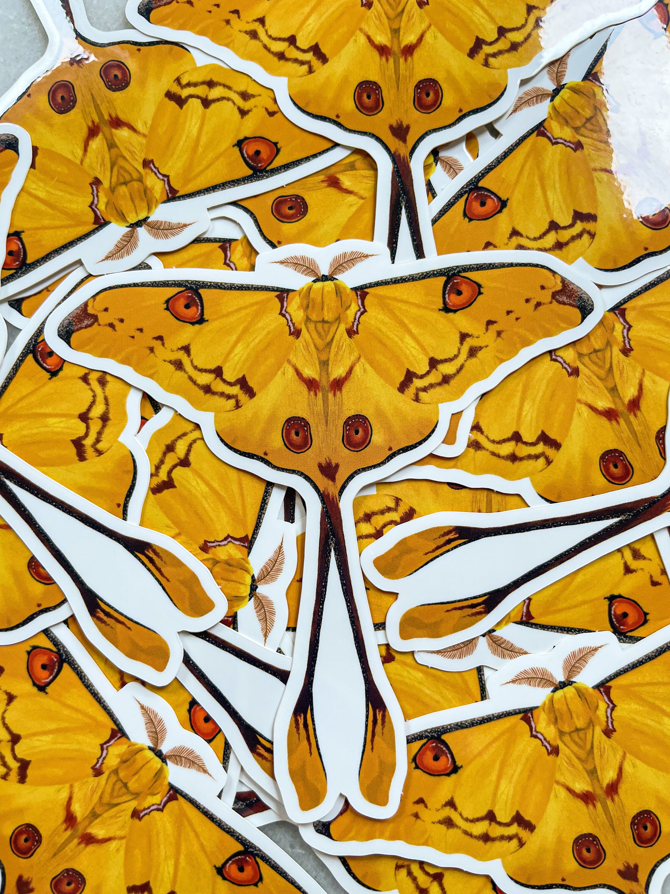 Comet Moth Vinyl Sticker 4x4 Inches Original Artwork - Etsy