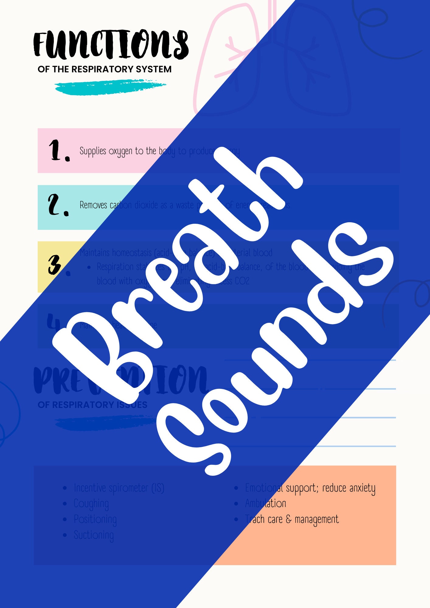 Breath Sounds & Respiratory Patterns - Etsy