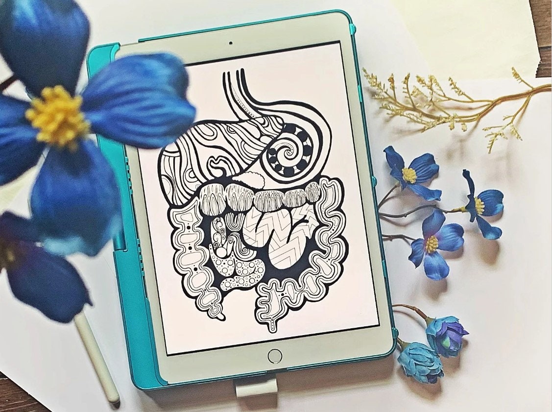 Abdominal & GI Assessment - Etsy