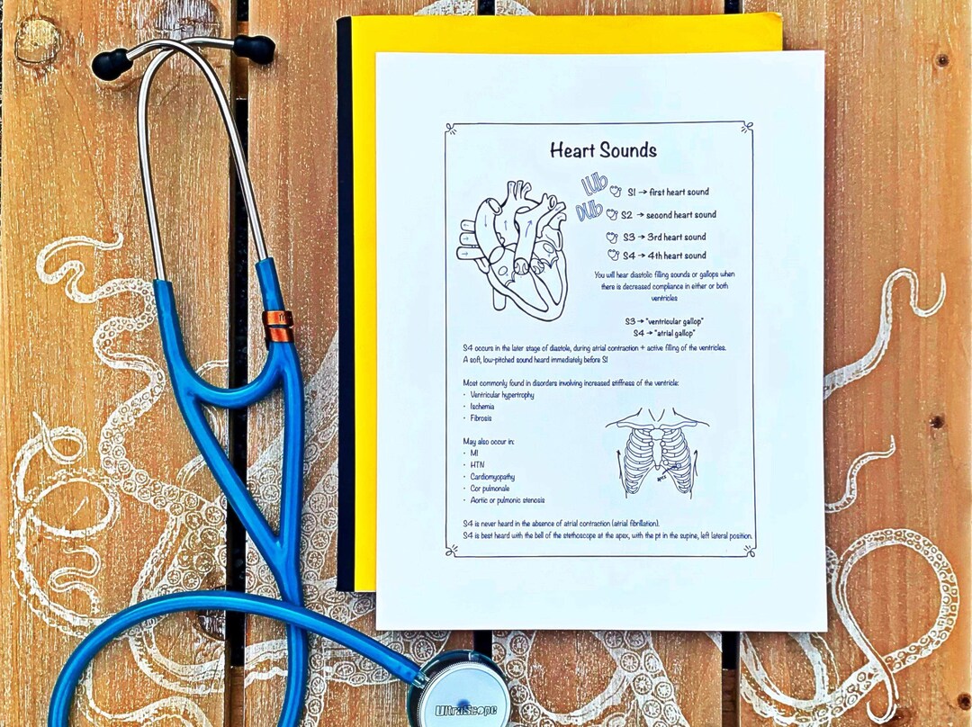 Heart Sounds Notes - Etsy