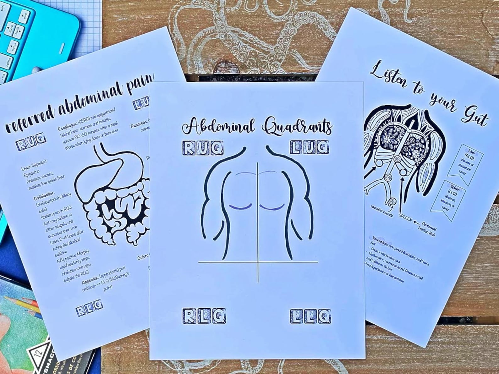 Abdominal & GI Assessment - Etsy