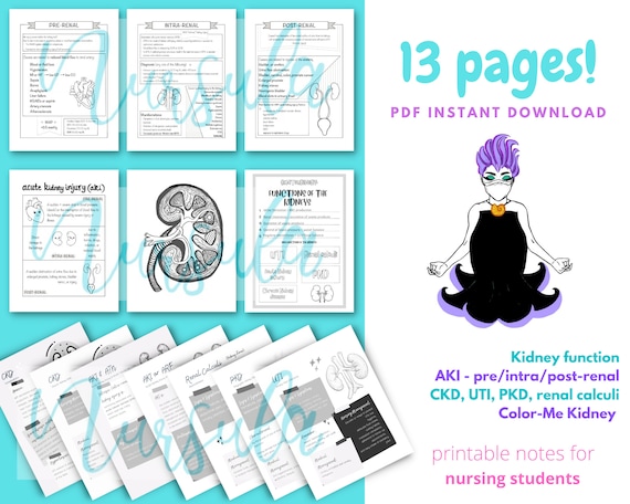 Kidney Function Problems Notes Coloring Pages | Etsy