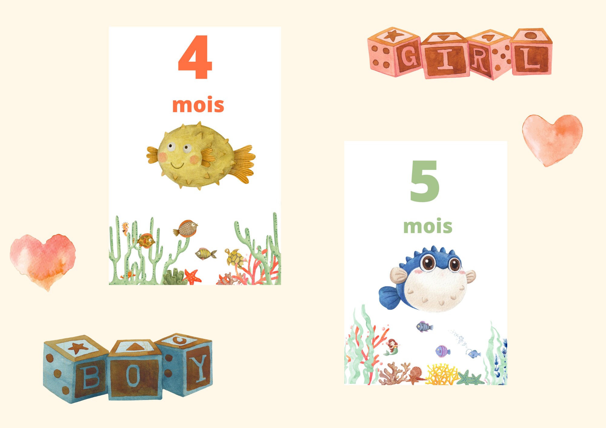 Cards Step Evolution First Year of the Baby to Photograph Each Month ...