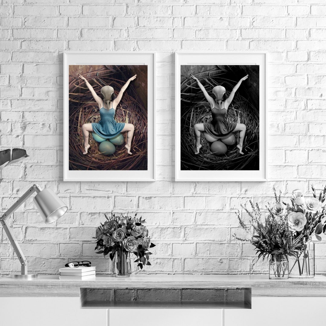 Ballet Dancer Laying Eggs in a Bird's Nest Graphic Design 9 X 12 Print ...