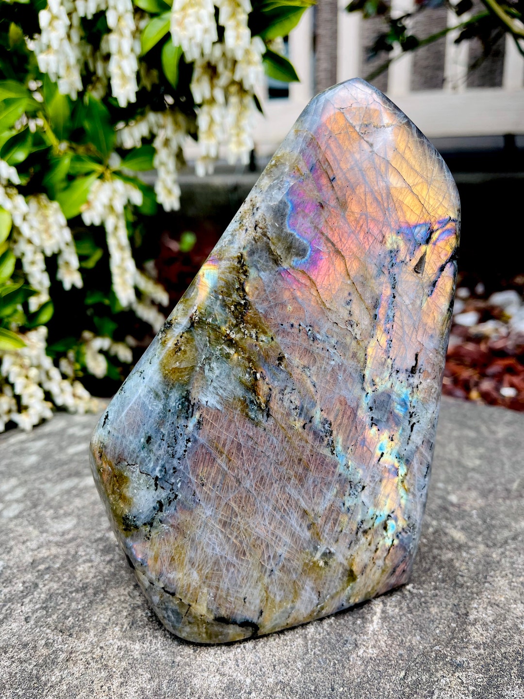 STUNNING High Quality Sunset Flash Labradorite, Flashy Labradorite ...