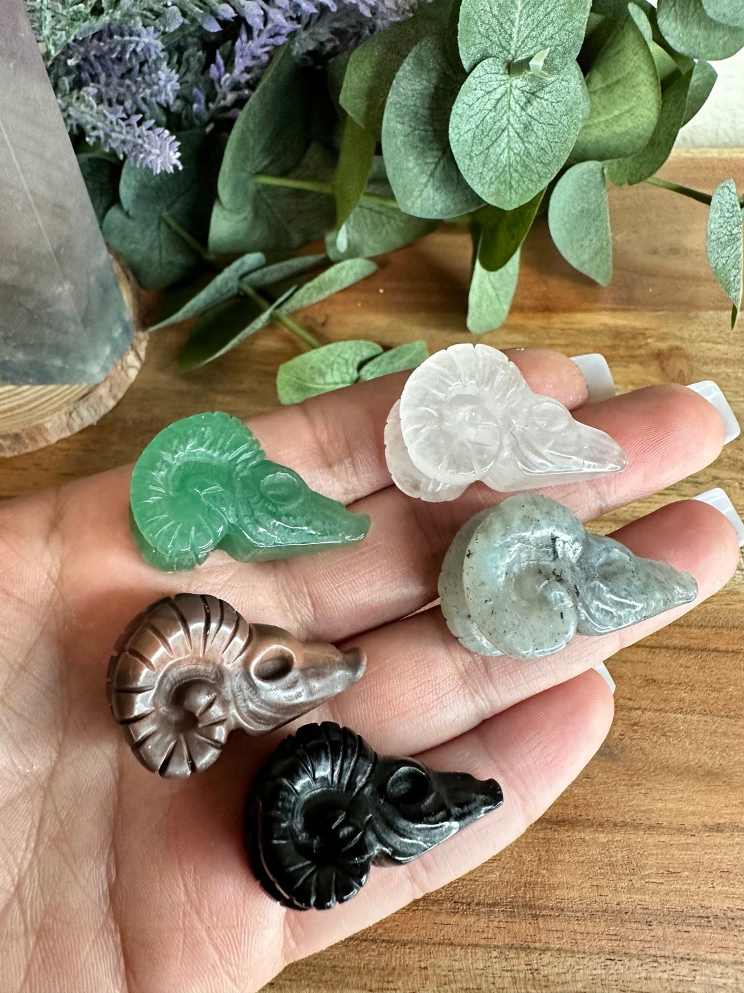 Crystal Ram Skulls, You Pick Material, Crystal Ram Head, Mini Ram Head ...