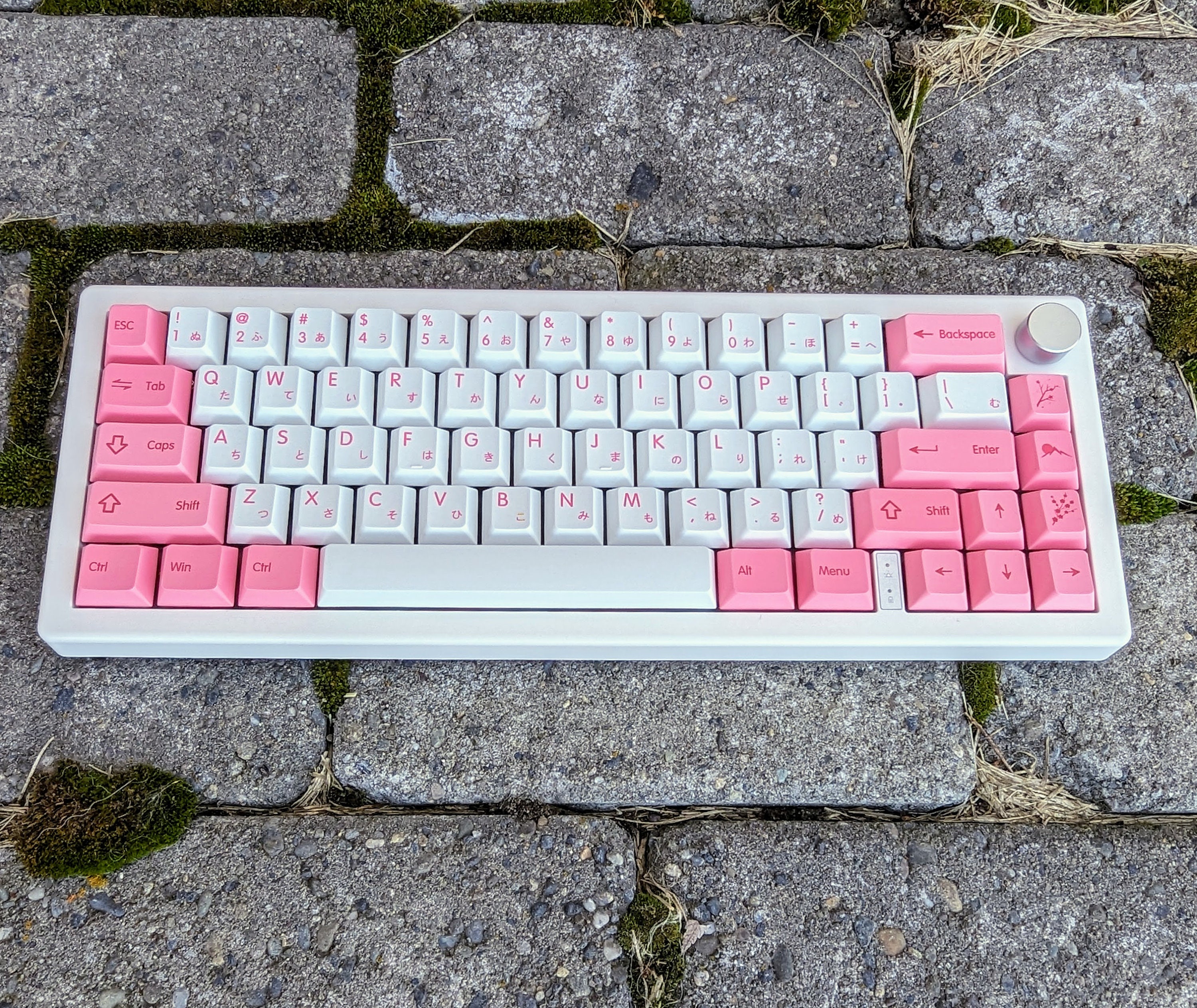 Sakura 65% Hotswap Mechanical Keyboard - Etsy