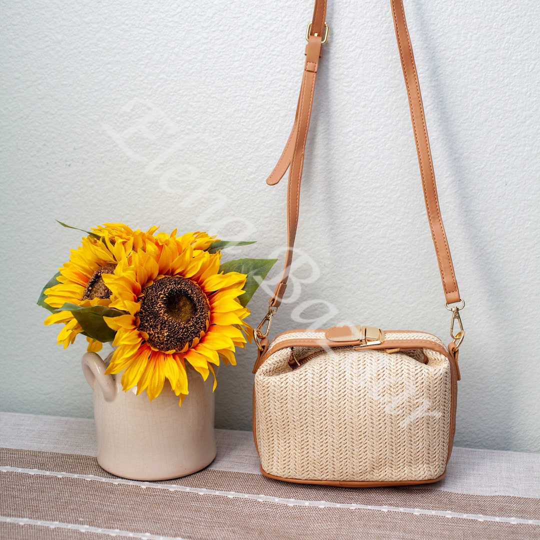 Women's Straw Crossbody Bag With Leather Accent, Fashion Casual ...