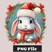 Christmas Bunny Clipart: Santa Hat Rabbit PNG (digital Download) - Etsy