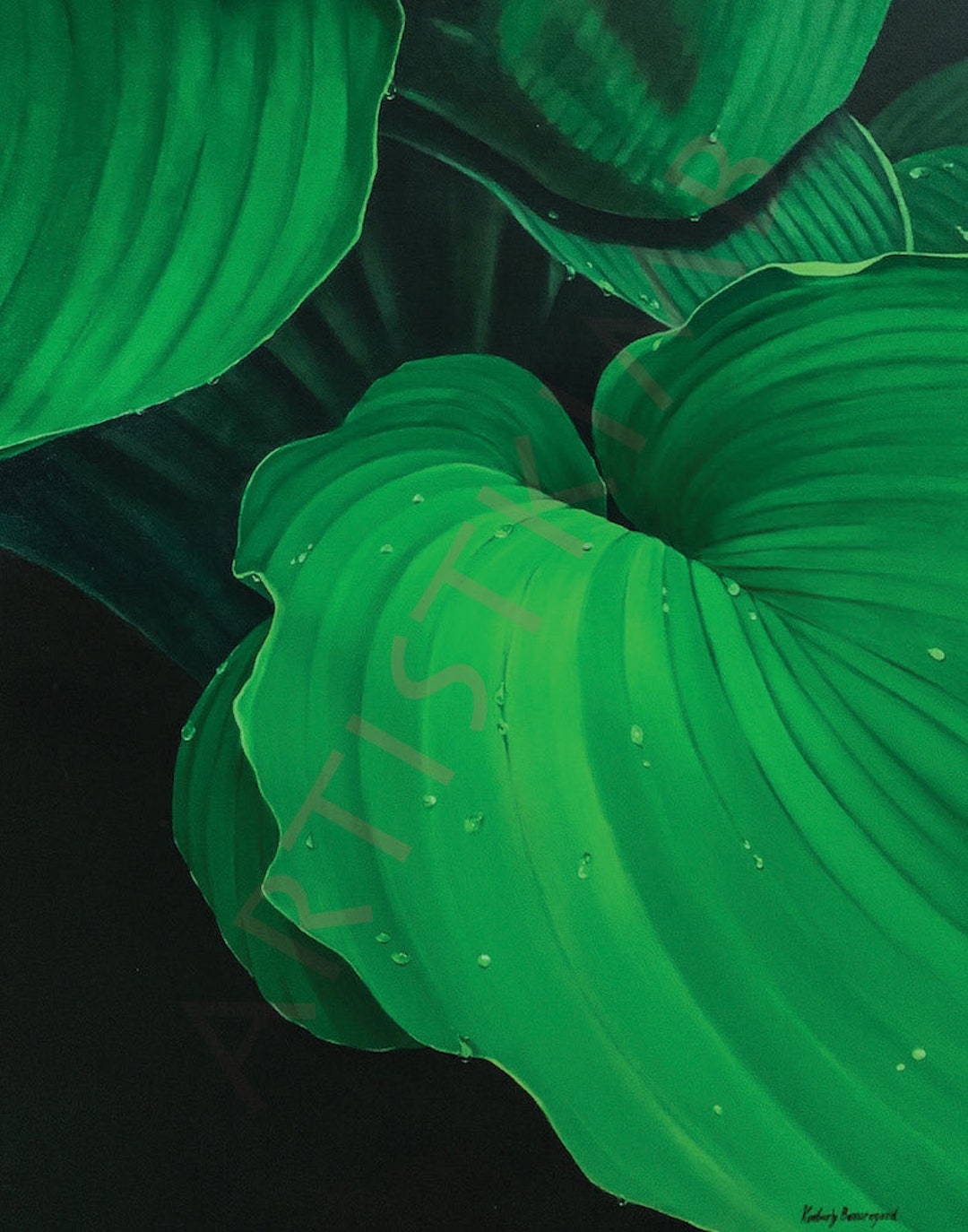 Giant Hosta, 11” X 14” Fine Art Print - Etsy