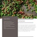 Year Round Turkey Cookbook - Etsy