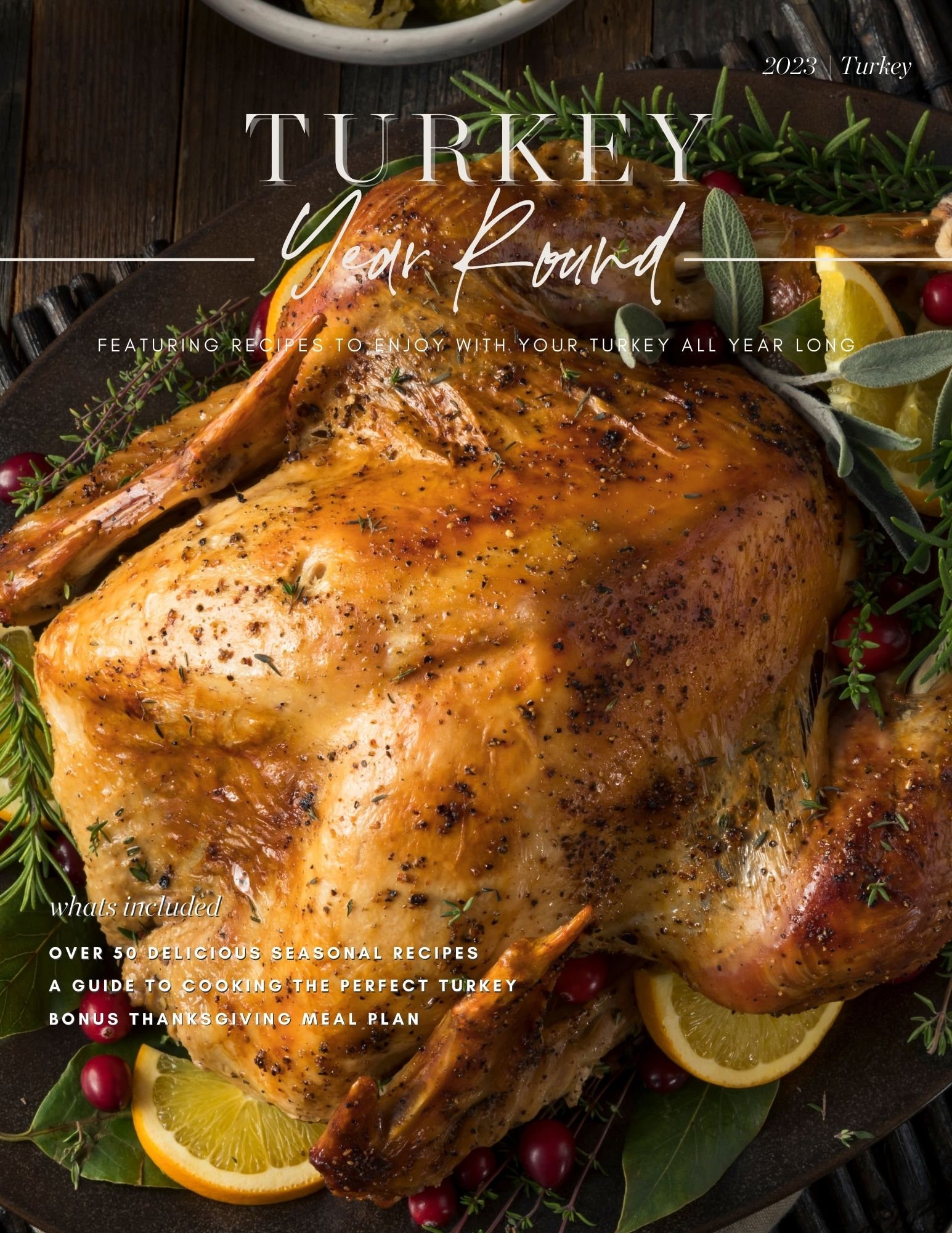 Year Round Turkey Cookbook - Etsy