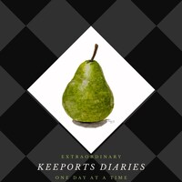 Year Round Turkey Cookbook - Etsy