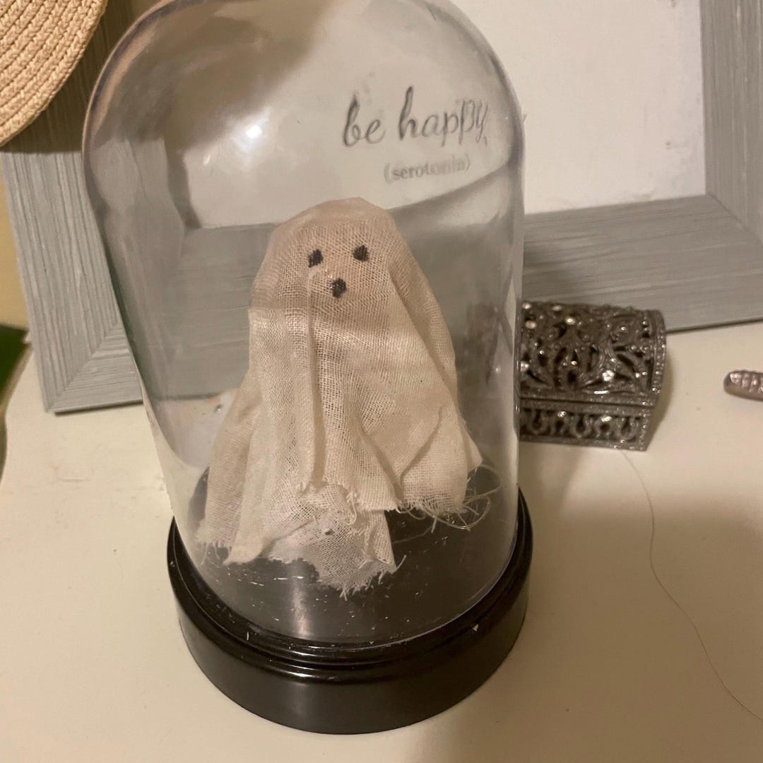 Handcrafted Ghost Cloche With Fairy Lights. - Etsy