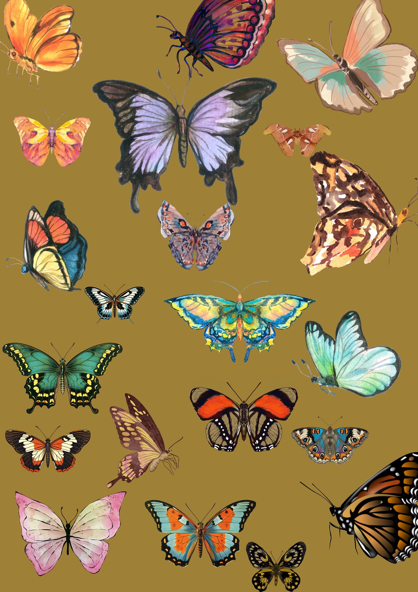 Butterfly Collage Wall Art - New Homeowner Gift Home Decor Butterfly - Etsy